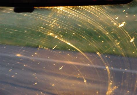 A Windshield Survey Of Back Country Bugs All In