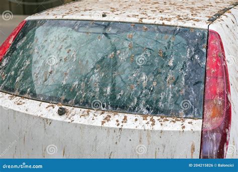 Acid Rain Effects On Cars