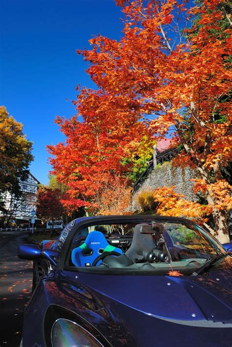 紅と藍 GANREF