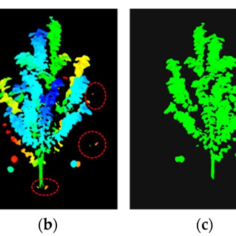 A Original Cherry Tree Point Cloud Data B Effect Picture After