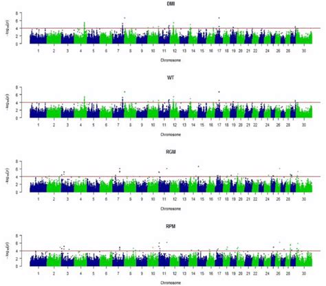 Manhattan Plots −log 10 P Genomewide Association Plot Of A Download Scientific Diagram