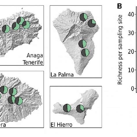 Diagram Of The Ddrad Seq Protocol From García Olivares Et Al 2019