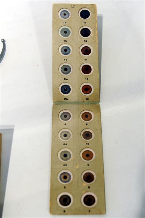 Biologymartinschultz Scale Handwiki Biologymartinschultz Scale Handwiki