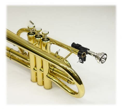 Berp Brass Instument Practice Aids And Bio Oil