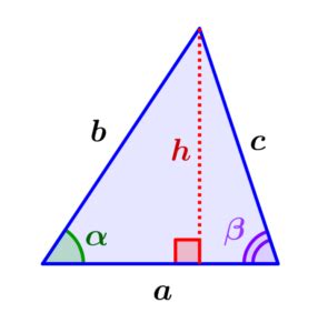 Height Of A Scalene Triangle Formulas And Examples Neurochispas