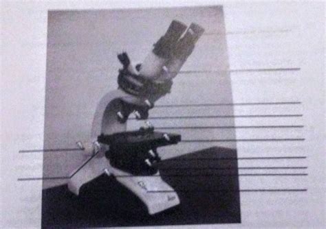 Bio Lab Microscope Quiz Part 2 Diagram Quizlet