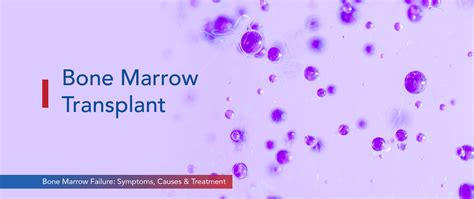 Bone Marrow Failure Symptoms And Treatment Sparsh Hospital