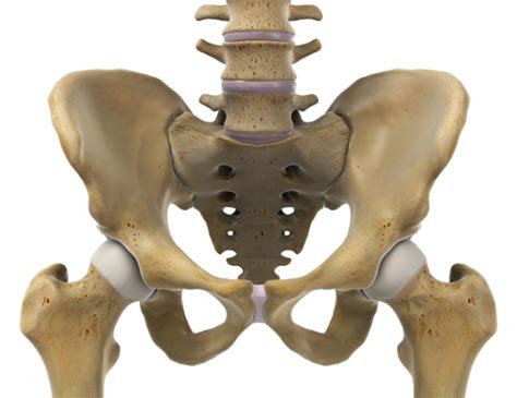 Superior Hypogastric Plexus Block Pain Physicians In Denver CO