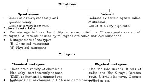 Genetics Some Basic Fundamentals Icse Class 10 Biology Questions