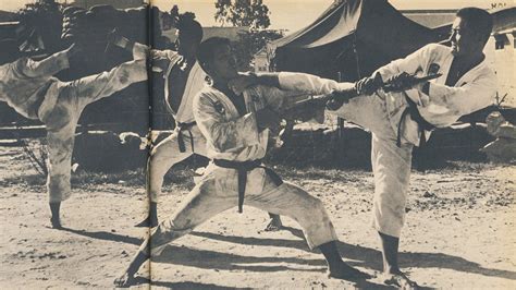 Taekwondo Korean Tigers