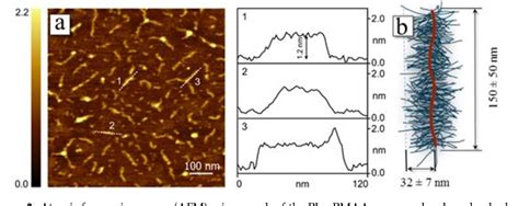 Figure 1 From Self Assembly Of Molecular Brushes With Polyimide Backbone And Amphiphilic Block