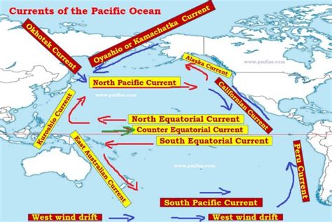 Pacific Ocean Currents Phytoplankton Pmf Ias