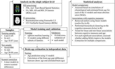 Assessing Distinct Patterns Of Cognitive Aging Using Tissue Specific