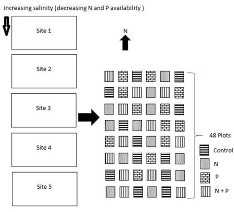 Experimental Design Along Five Sites With Salinity Gradient From Site 1
