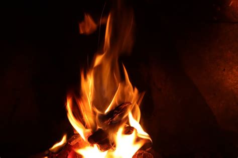 🎖 Leni Klum 5 Secretos Del Estilo Que Debes Conocer