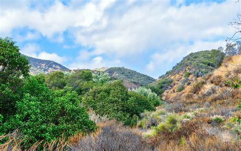 Chaparral Biome Chaparral Biome Climate Plants And Wildlife
