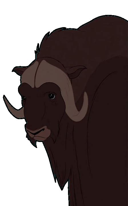Muskox Main Render By Tgosurvivor On Deviantart