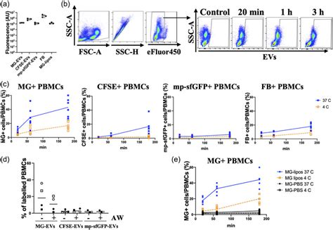 Detection Of The Interactions Of Tumour Derived Extracellular Vesicles With Immune Cells Is