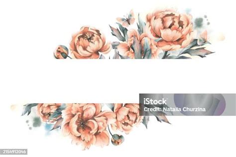 복숭아색의 아름다운 모란은 나뭇잎 새싹 날아다니는 나비로 물듭니다 손으로 그린 수채화 그림입니다 프레임 수평 템플릿 텍스트용으로 비어 있음 배경에서 격리됨 2024년에 대한