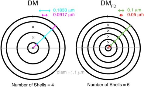 Cytosolic Compartmentalization For Diffusion From Membrane Toward The