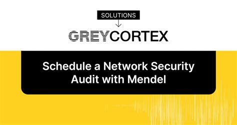 Schedule A Network Security Audit Greycortex