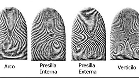 Juan Vucetich y la revolución de las huellas dactilares el primer crimen resuelto y el final