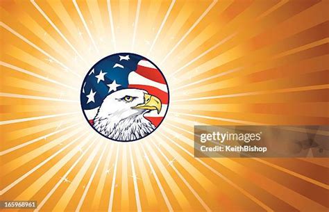 5228 Bald Eagle Flag Background High Res Vector Graphics Getty Images