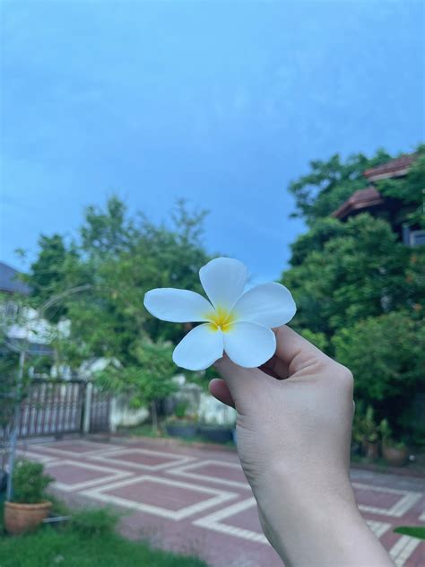 Ṉaeŵ တစ်ယောက်ယောက်က စောင့်နေရင် တစ်ယောက်ယောက်ကလဲ အရောက်လာသင့်တယ်။ နှစ