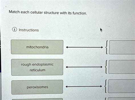 match each cellular structure with its function i instructions match