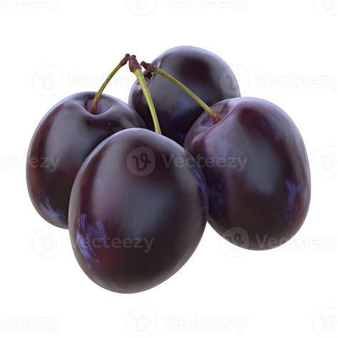 Four Ripe Dark Purple Plums With Stems 71581149 Png