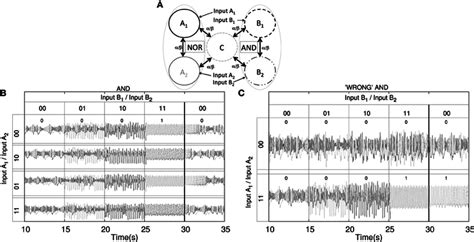 Implementation Of Two Logic Gates Embedded In A Network Of Coupled Download Scientific Diagram