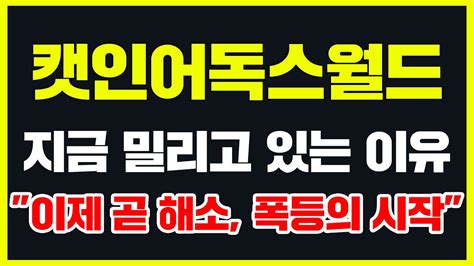 D 2일 대세 변동성 시작 캣인어독스월드 지금 밀리고 있는 이유 이제 곧 해소 폭등의 시작 캣인어독스월드 캣인어독스월드코인 캣인어독스월드전망 캣인어독스월드