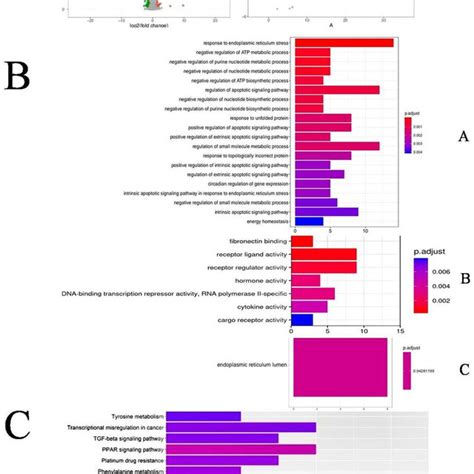 volcano plot of the differentially expressed genes genes upregulated