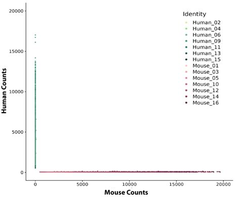 Tensor High Throughput Single Cell And Library Processing System