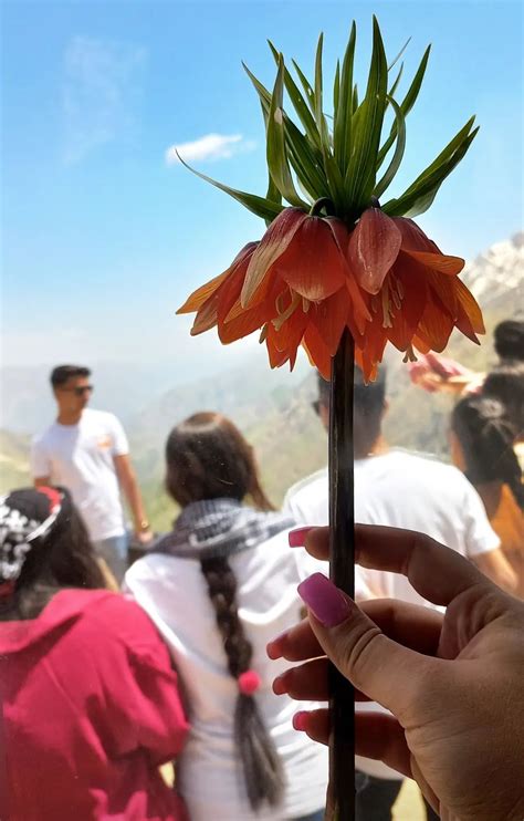 تین Tinanm Twitter