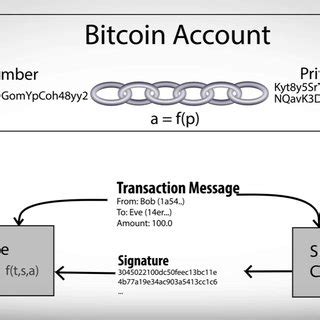 Bitcoin Sign Verification Download Scientific Diagram