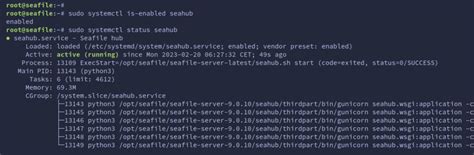 Get Started With Seafile Self Hosted Cloud Storage