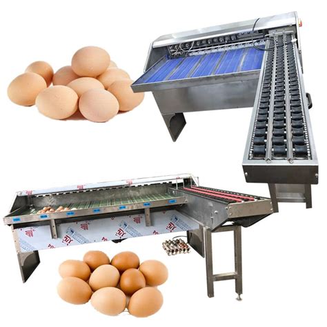 Automatic Egg Sorter Weight Grading Sorting Grader Machine Philippines Automatic Egg Sorter