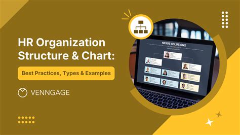 Hr Organization Structure And Chart Best Practices Types And Examples Venngage