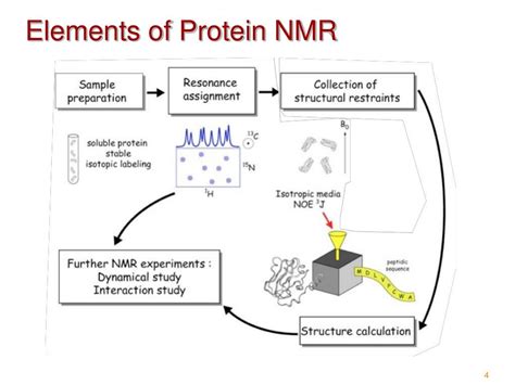 Ppt Biomolecular Nmr Spectroscopy Methods And Applications To