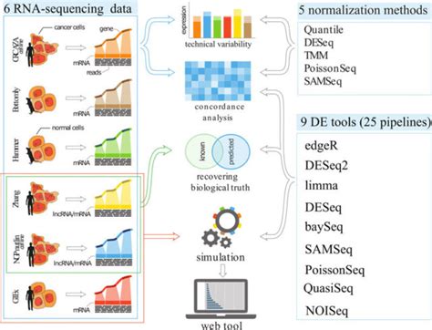 Differential Gene Expression Analysis Tools Exhibit Substandard Performance For Long Non Coding