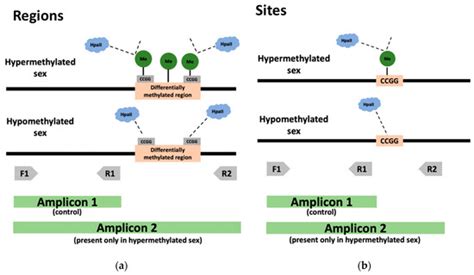 Animals Free Full Text A Cautionary Tale Of Sexing By Methylation