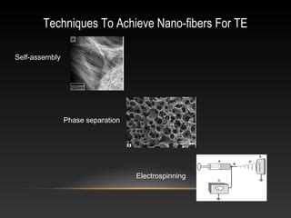 Anil Ppt Review Nanofibers Application PPT