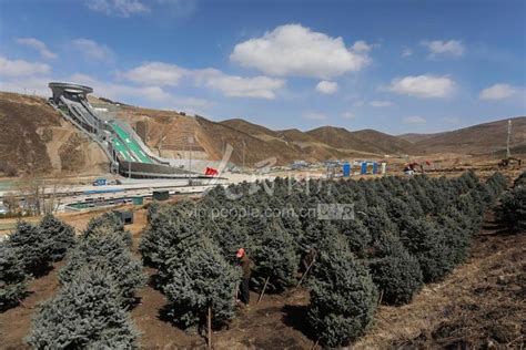 河北张家口：冬奥核心区植树忙 人民图片网