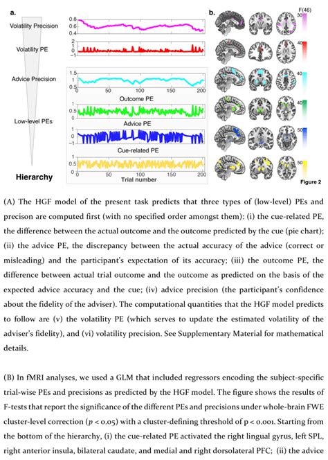 Computational Hierarchy And Associated Fmri Activations Download