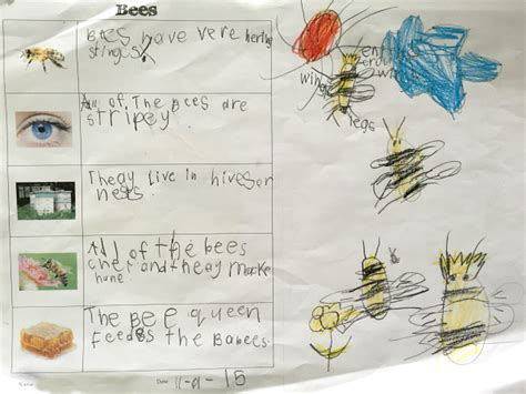 TEACHING INFORMATIVE REPORT WRITING MADE EASIER You Clever Monkey