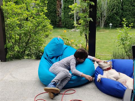 Am Făcut Cușcă Pentru Cățel