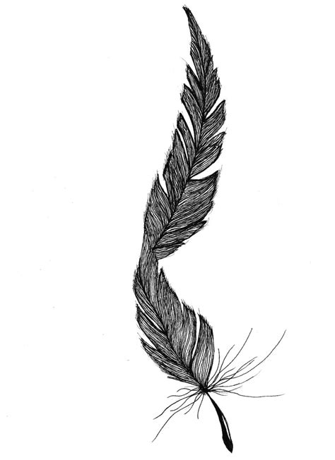 Feather Tattoos Designs Ideas And Meaning Tattoos For You