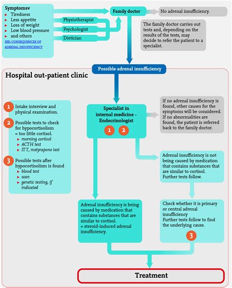 Adrenal Insufficiency Infographic Adrenalseu