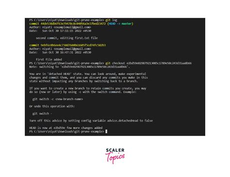 Git Prune Scaler Topics